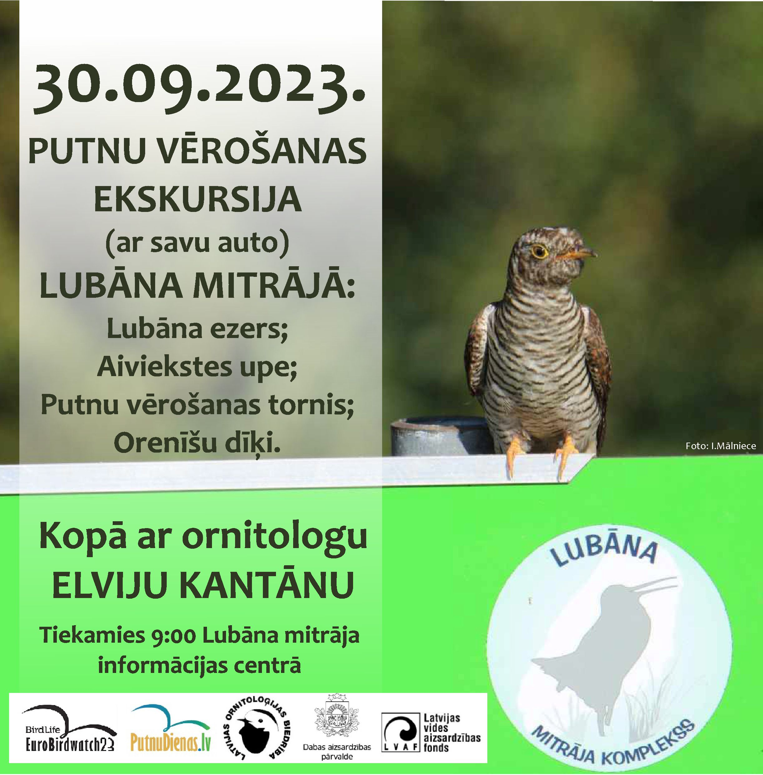 30. septembrī - putnu vērošanas ekskursija Lubāna mitrājā - visitmadona.lv